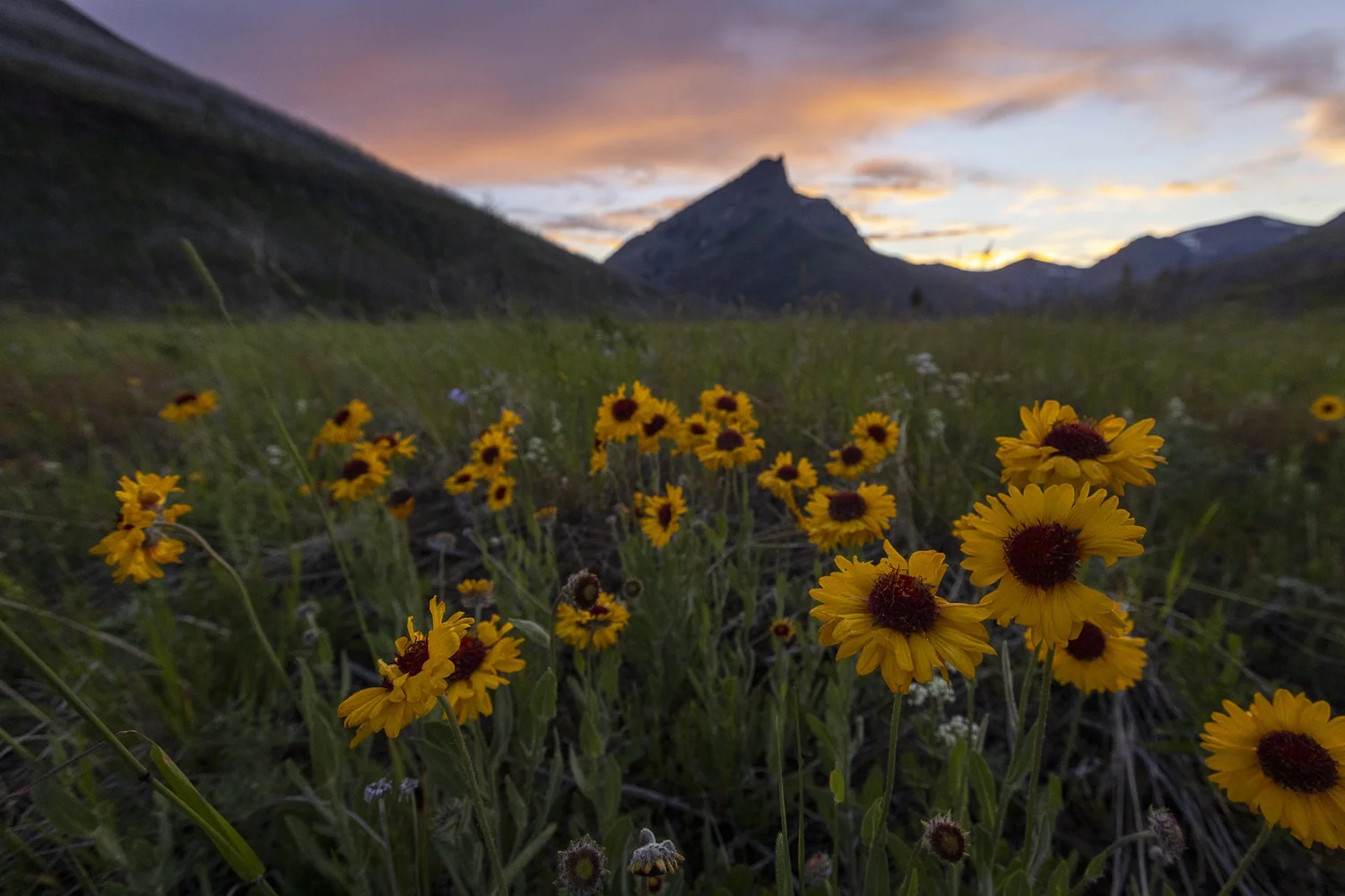 Tips For Using Foreground Elements In Your Photography — OFFBEAT ...