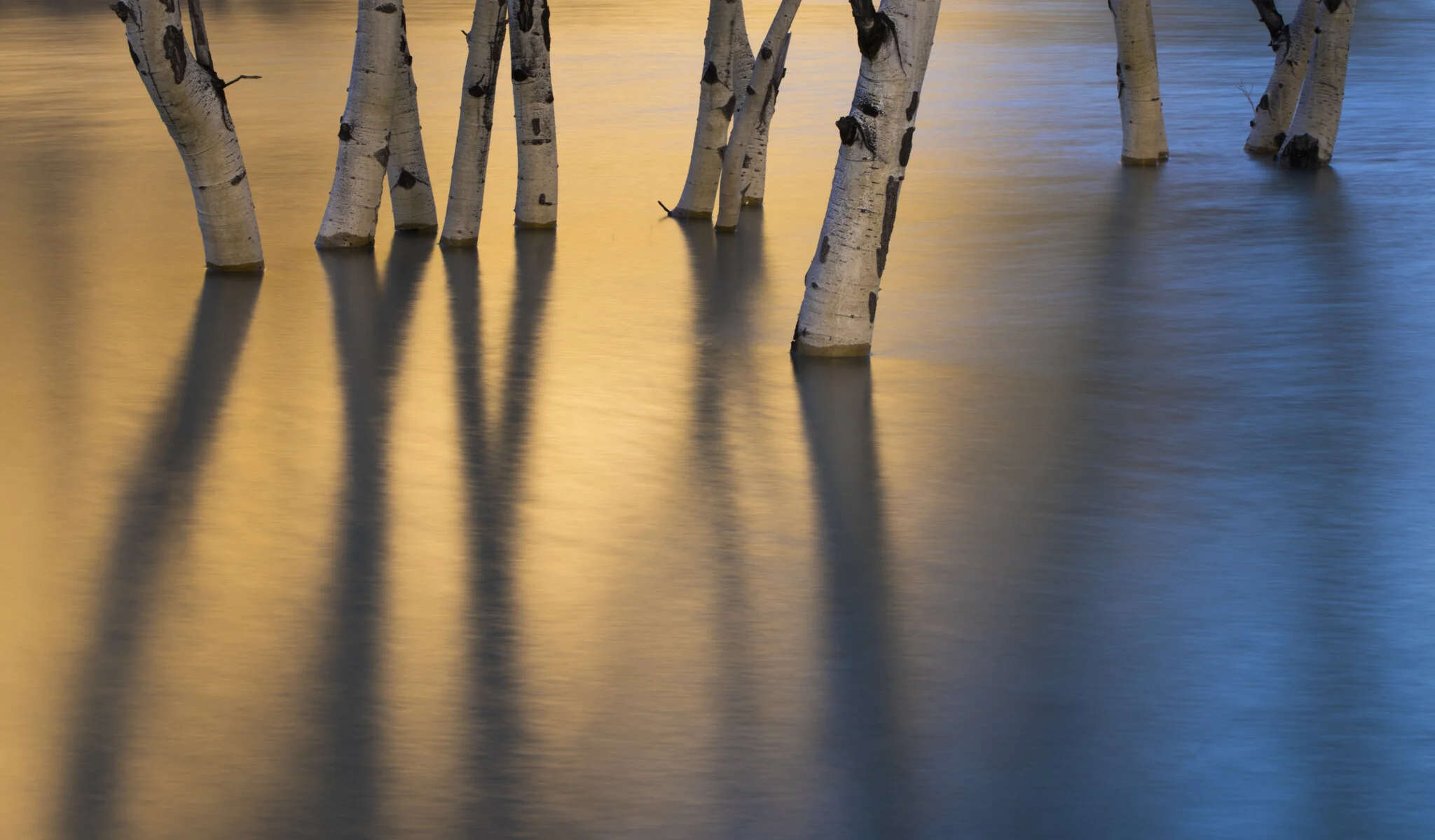 OFFBEAT Photography – International and Canada-Based Workshops + Online ...