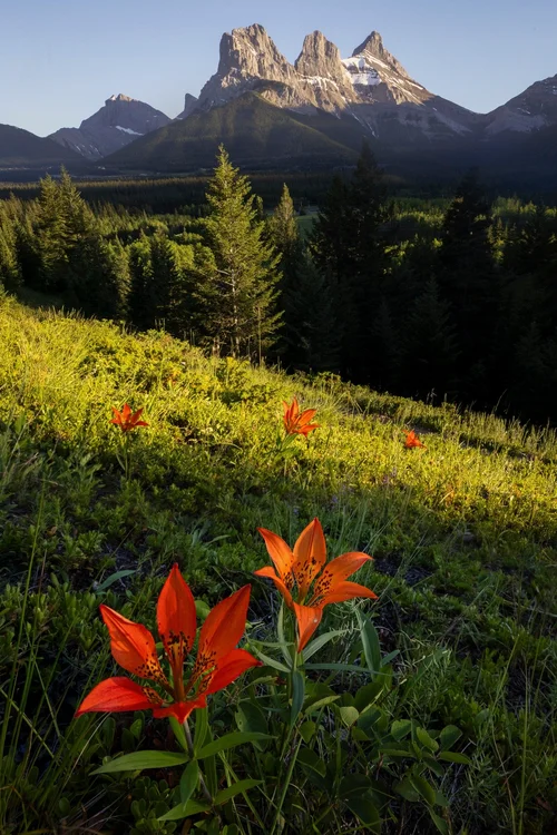 Tips For Using Foreground Elements In Your Photography — OFFBEAT ...
