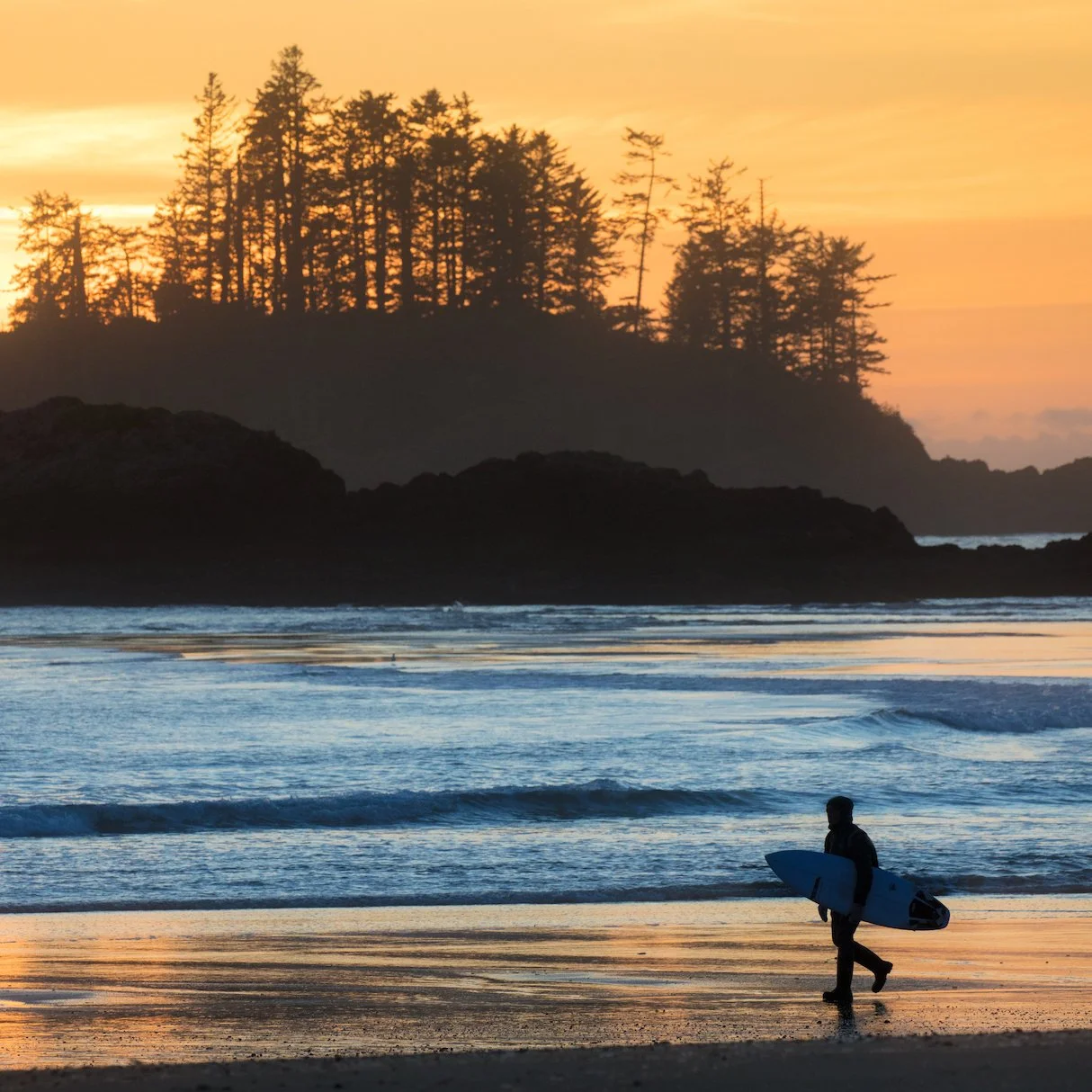 Workshops — OFFBEAT Photography