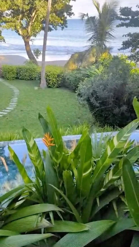 Practice with us — Spanda Institute / Yoga & other Holistic Disciplines