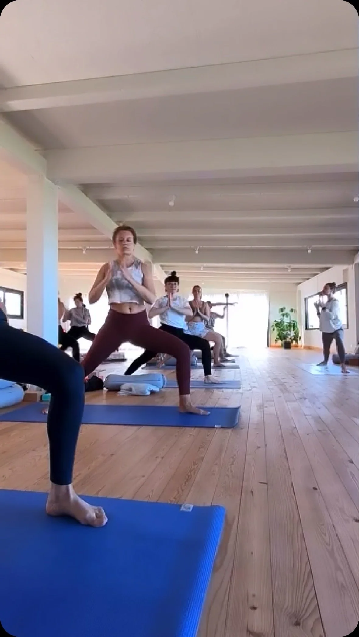 scholarship form — Spanda Institute / Yoga & other Holistic Disciplines