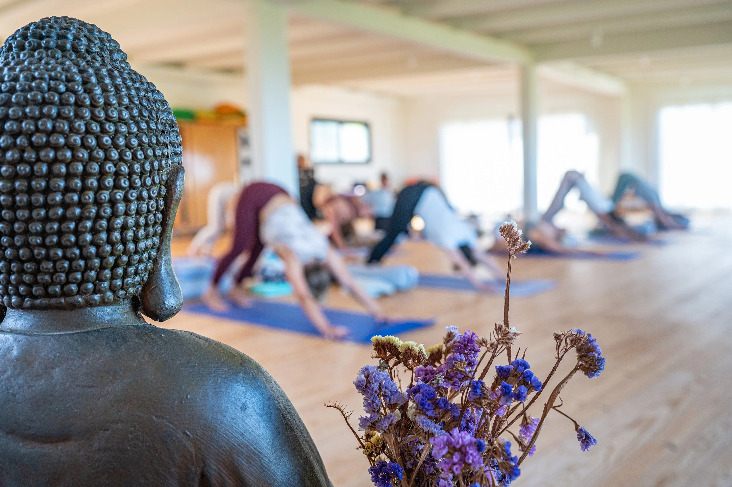 Spanda Institute / Yoga & other Holistic Disciplines