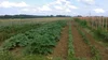 About — BK Farms