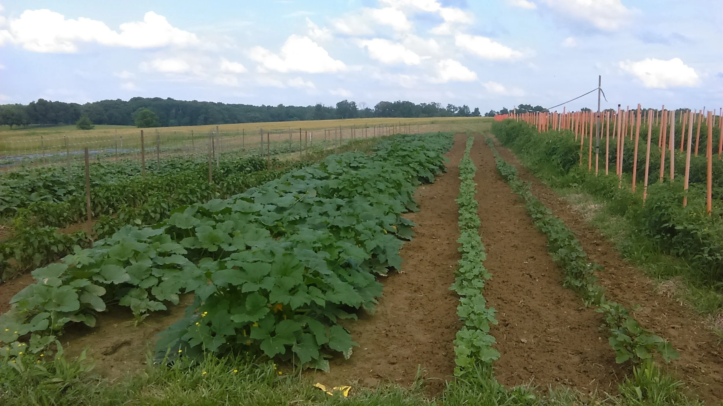 About — BK Farms