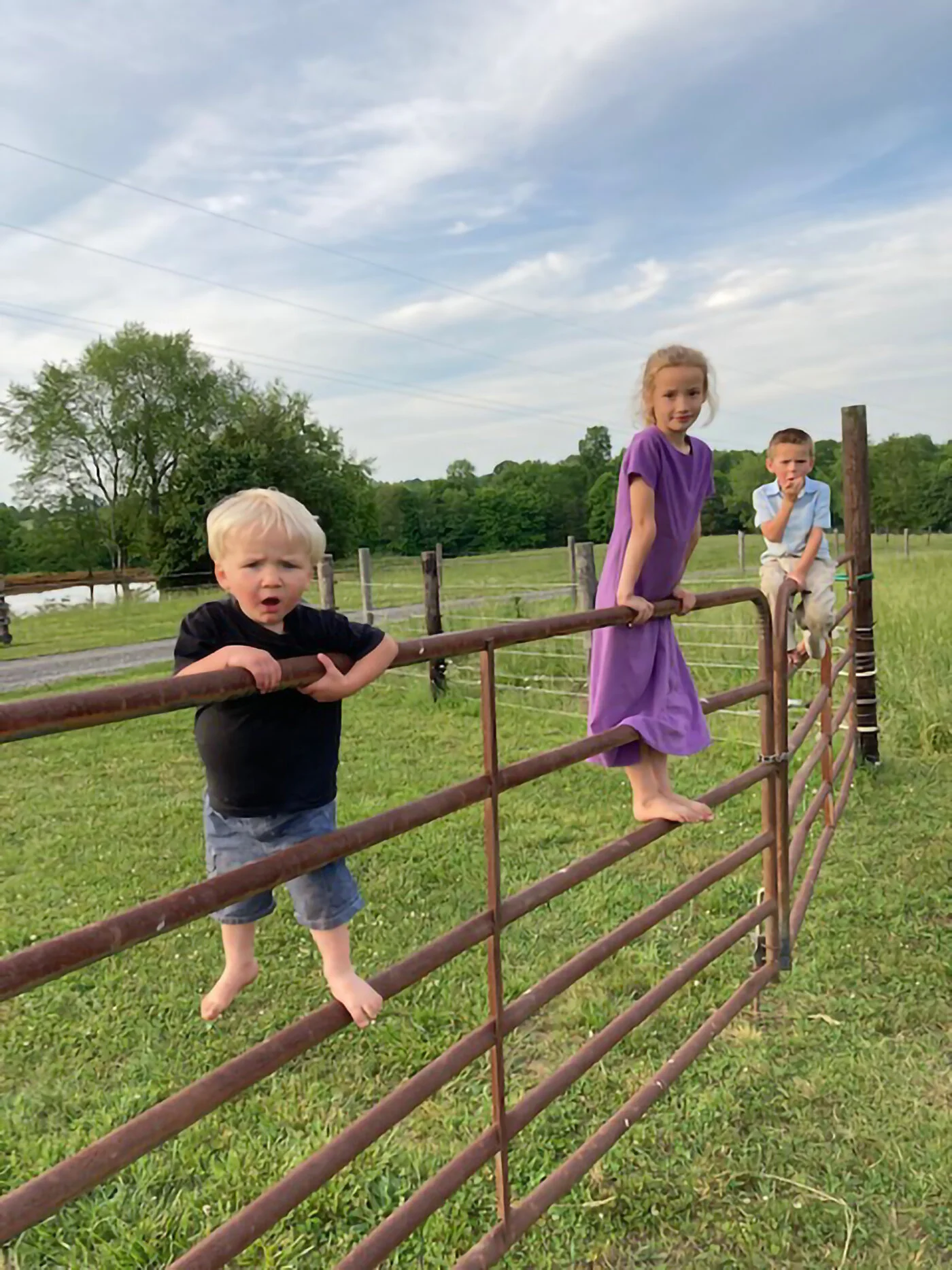 Contact — BK Farms