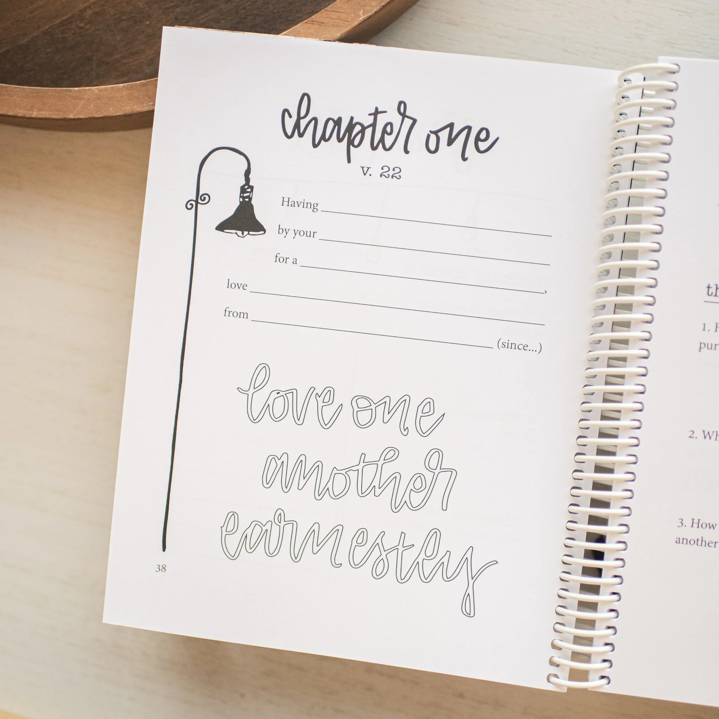 1 Peter LIGHT Bible Study Journal — Evergreen Cypress