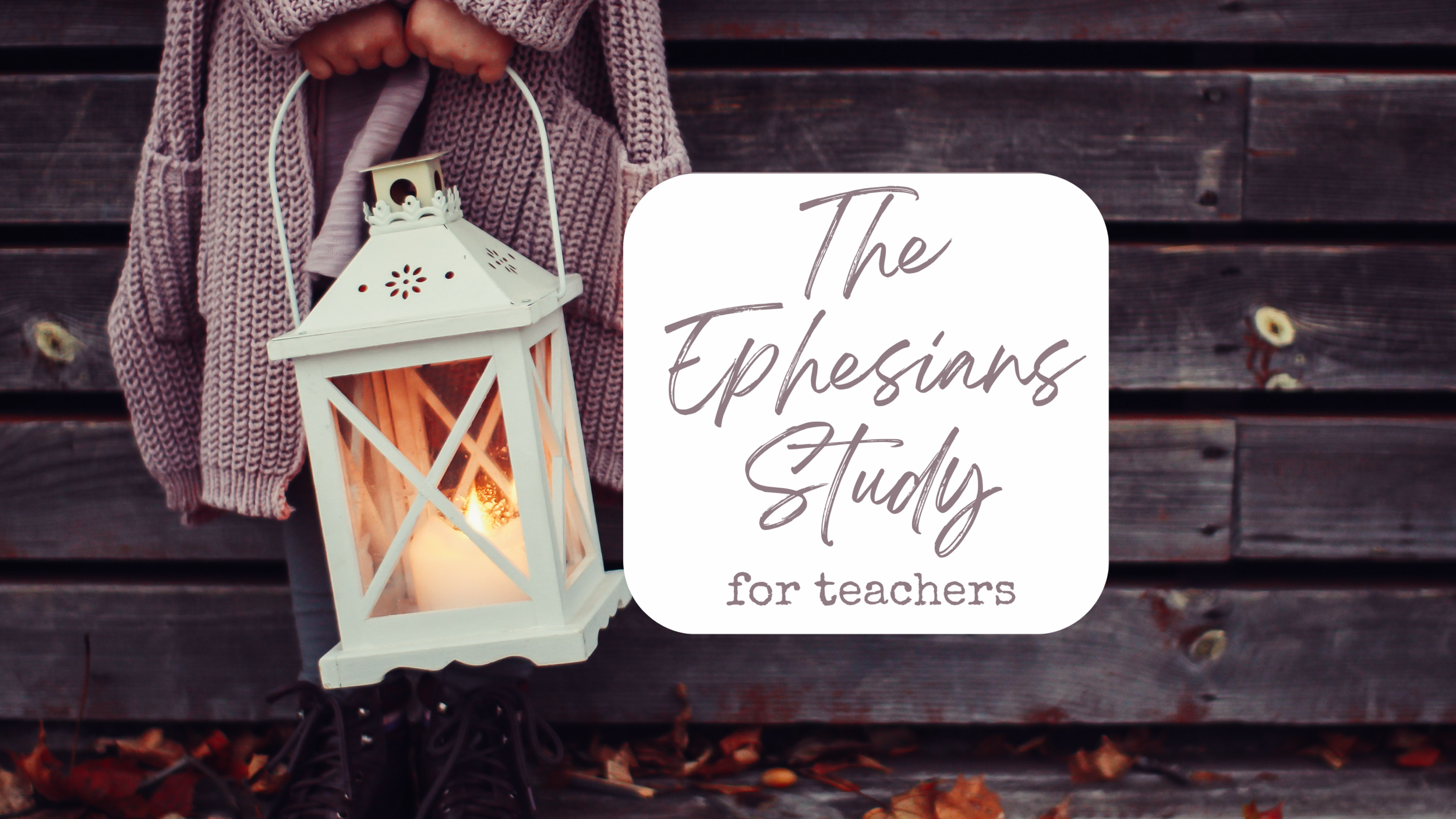 Studies Evergreen Cypress