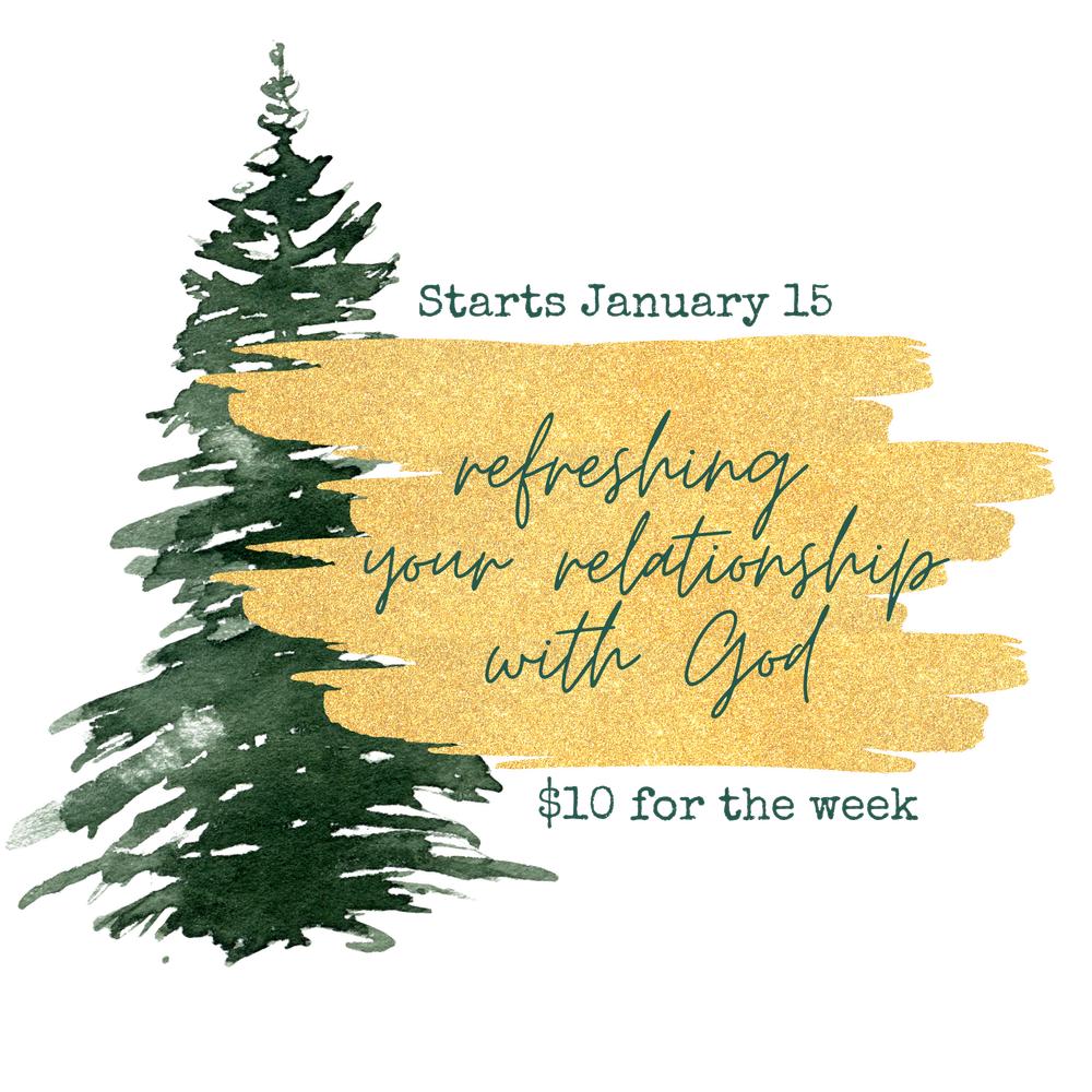 Evergreen Week Winter 2023 — Evergreen Cypress