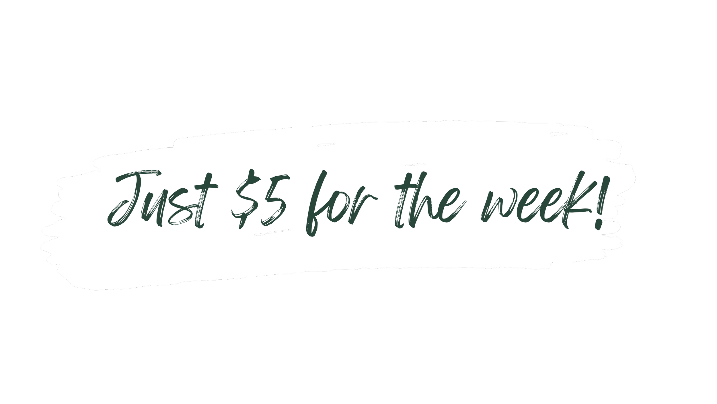 Evergreen Week 2022 old — Evergreen Cypress