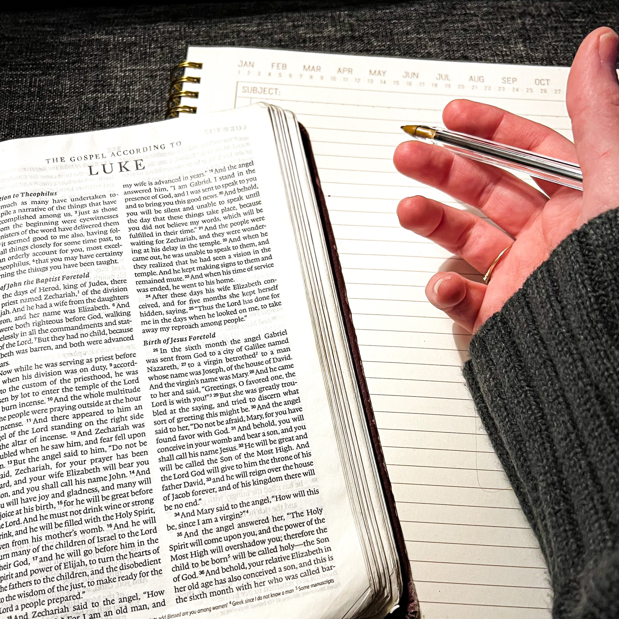 How do I actually study the Bible? — Evergreen Cypress