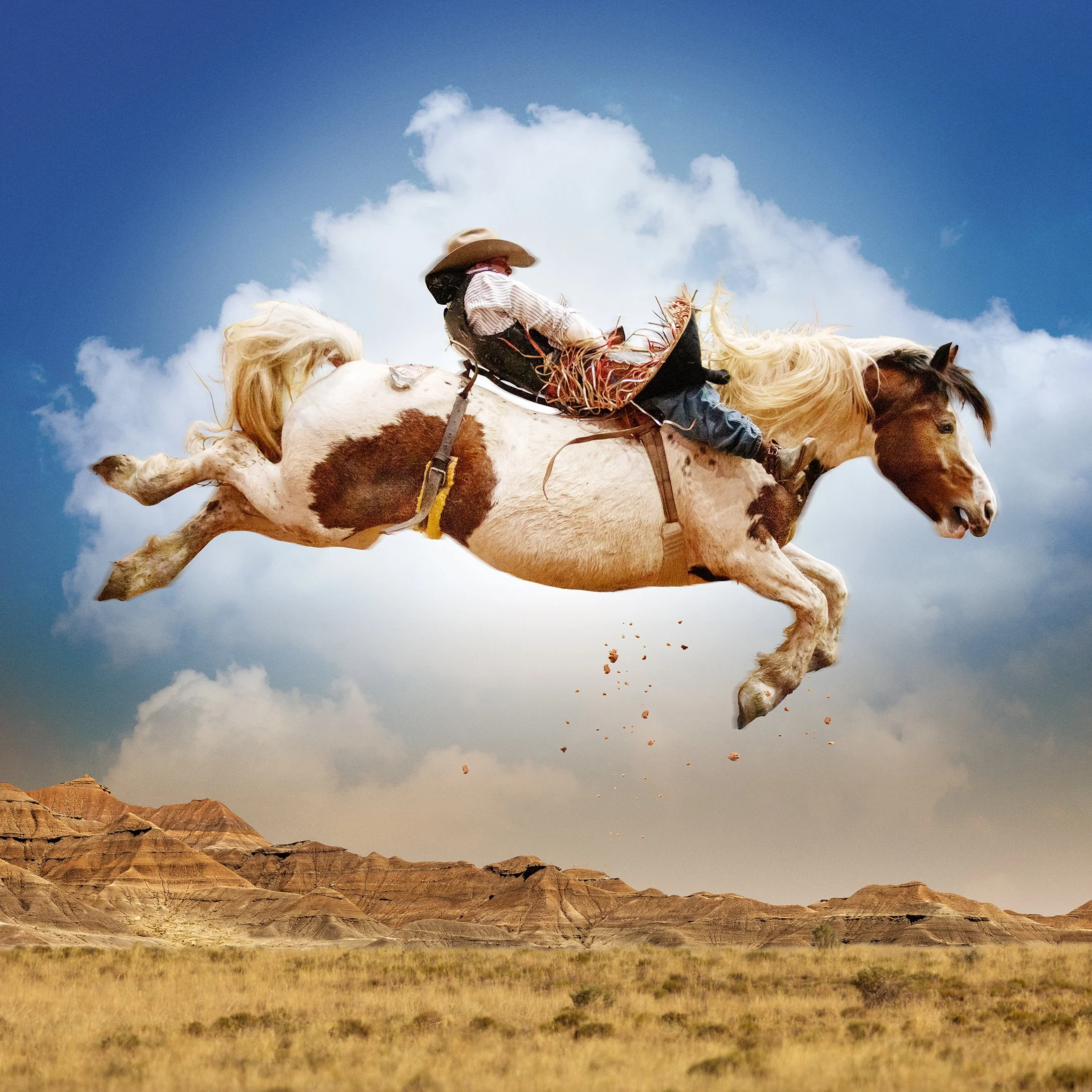 Rodeo — Steve Wrubel