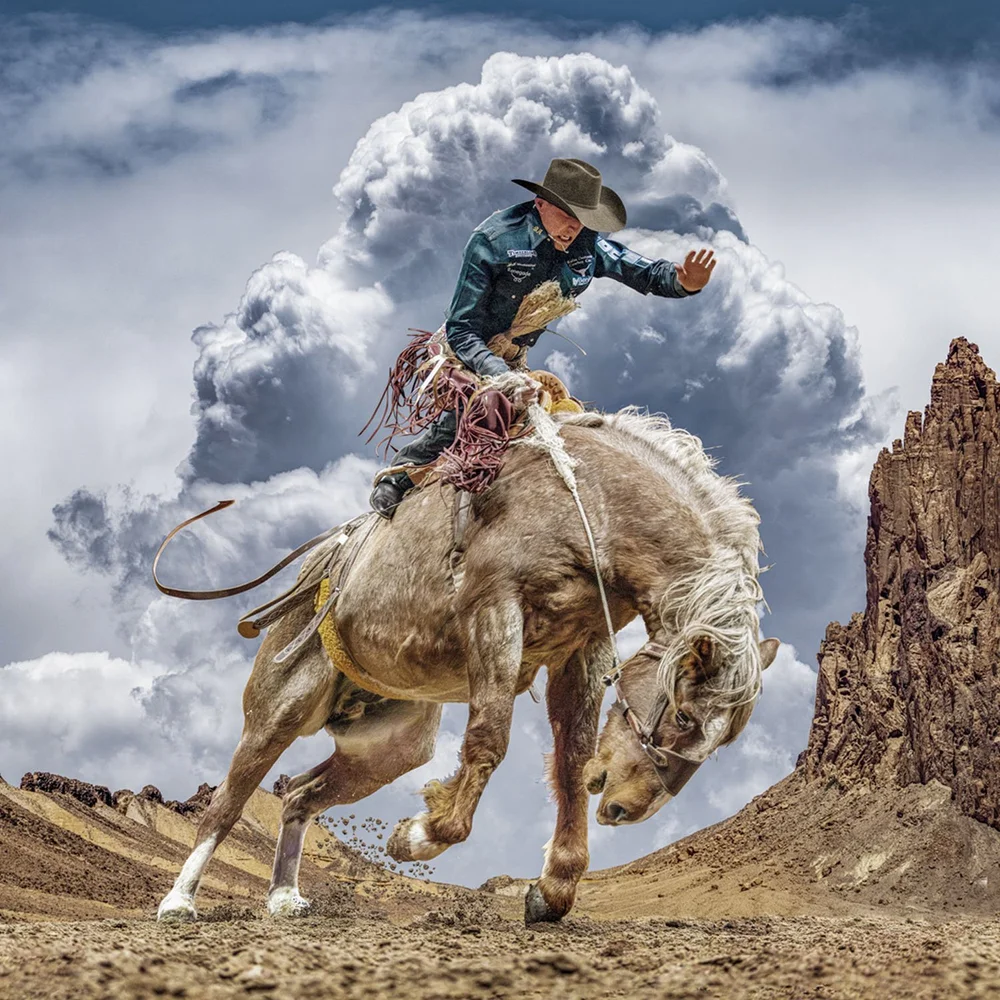 Rodeo — Steve Wrubel