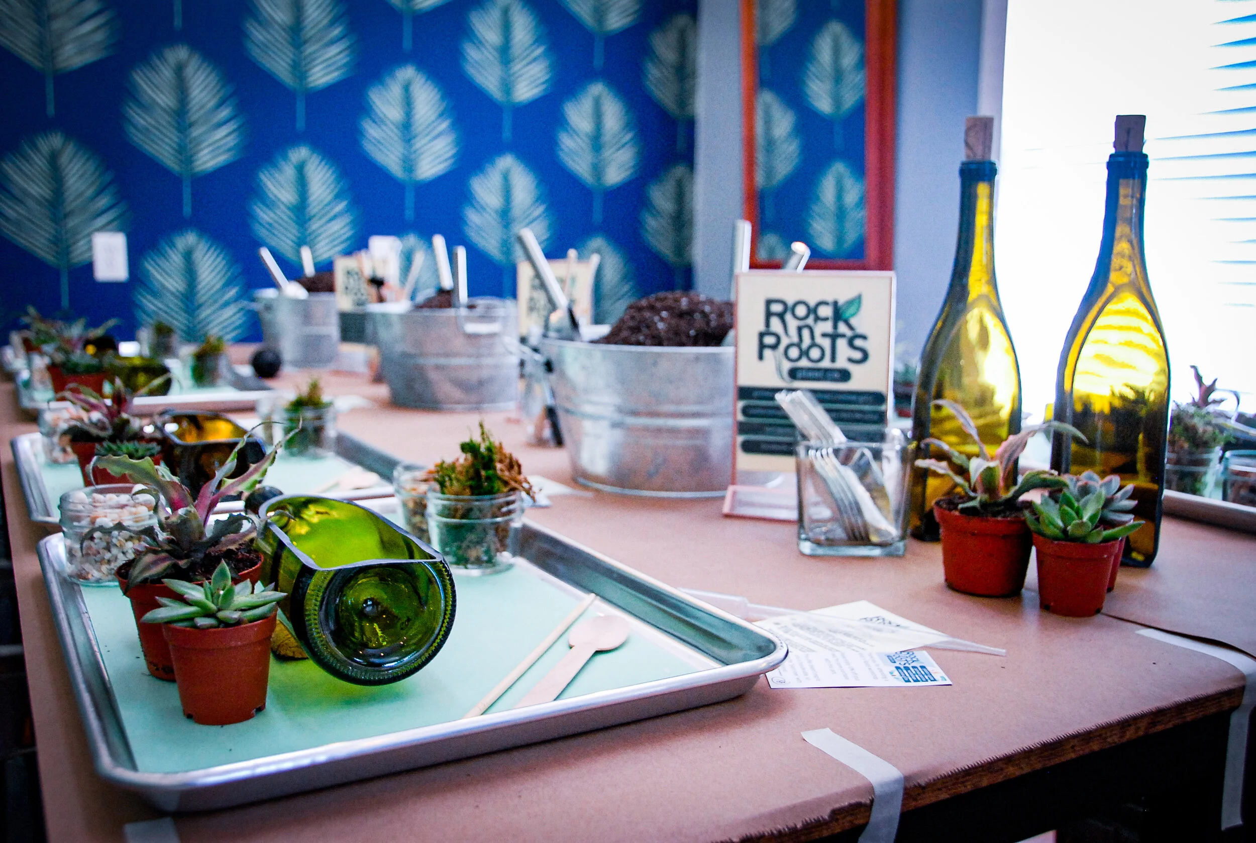 CONTACT — Rock n' Roots Plant Co.