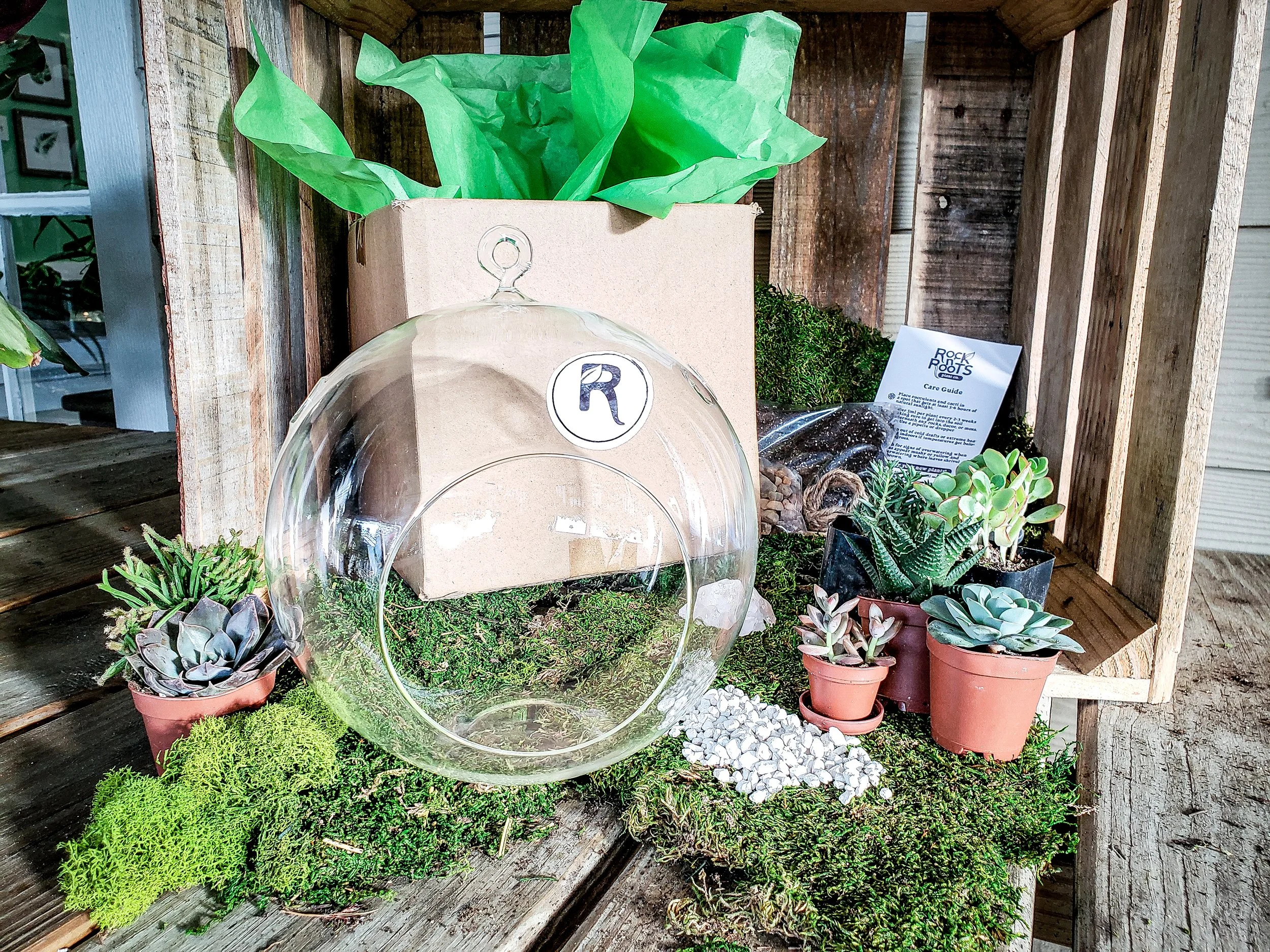 Rock n' Roots Plant Co. Join the plant party!