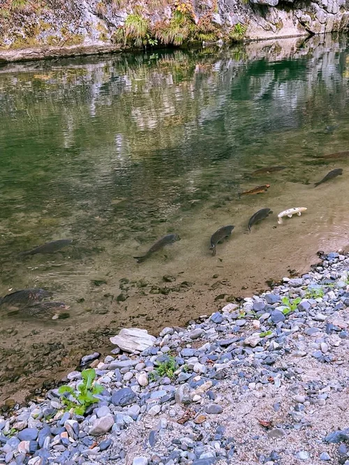 Geibikei Gorge & Yugendo Cave — Shelby Abroad