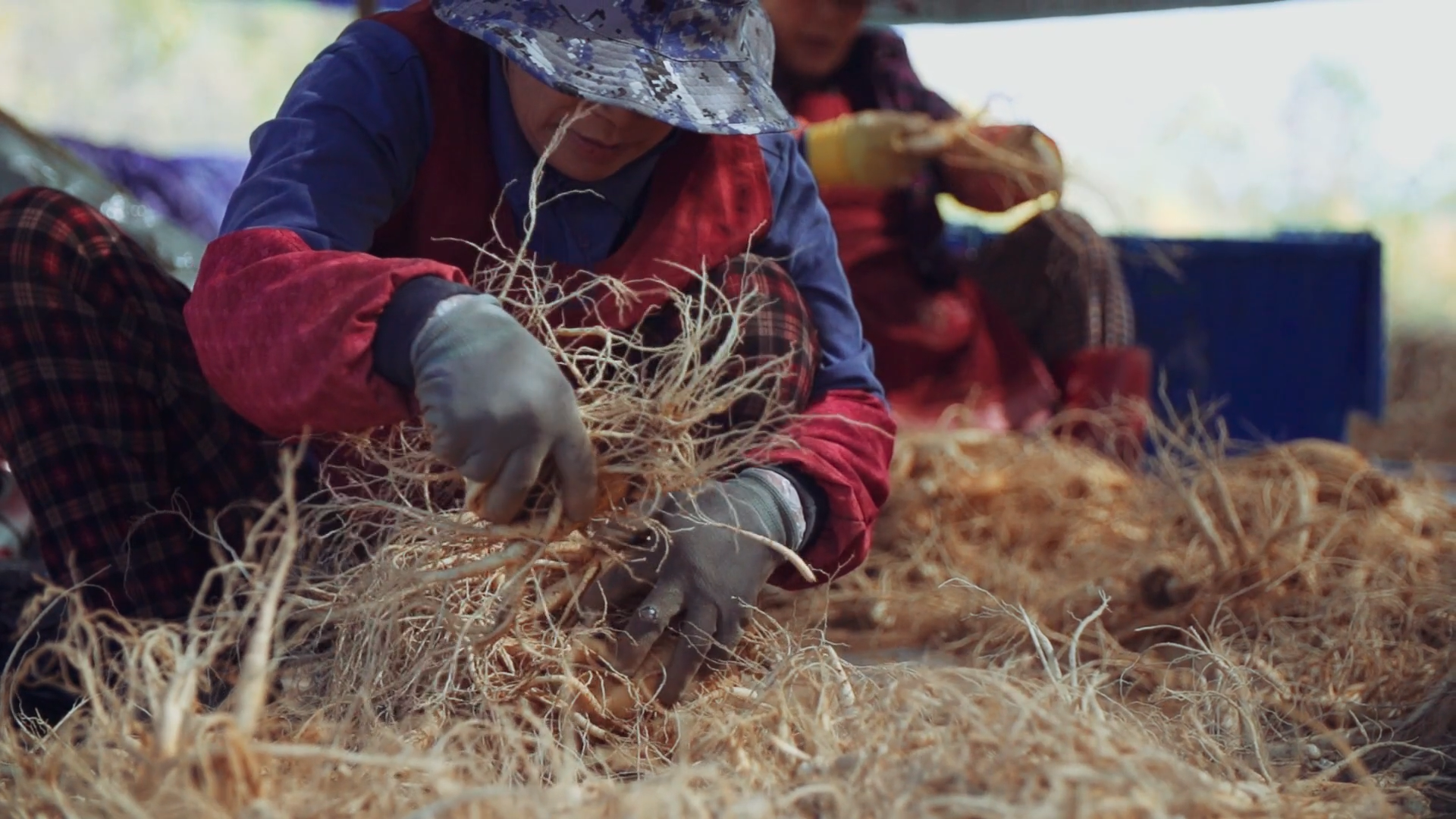 Auragin Ginseng | Brand Commercial — MOKTAN PRODUCTIONS