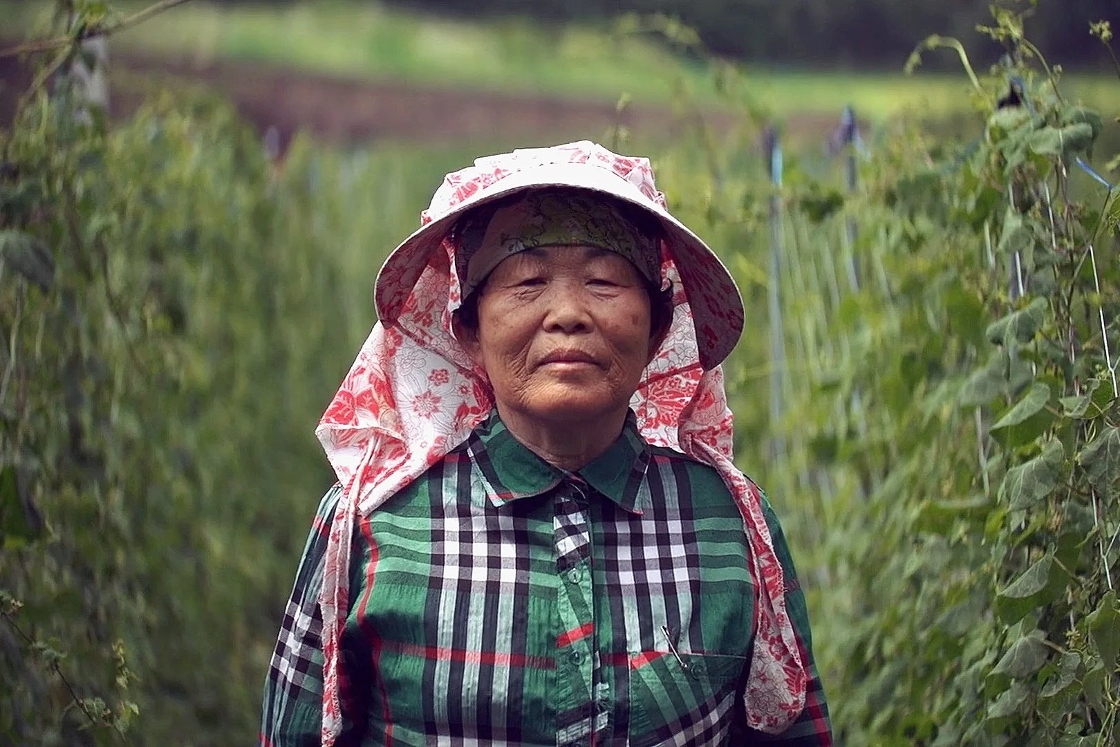 Auragin Ginseng | Brand Commercial — MOKTAN PRODUCTIONS