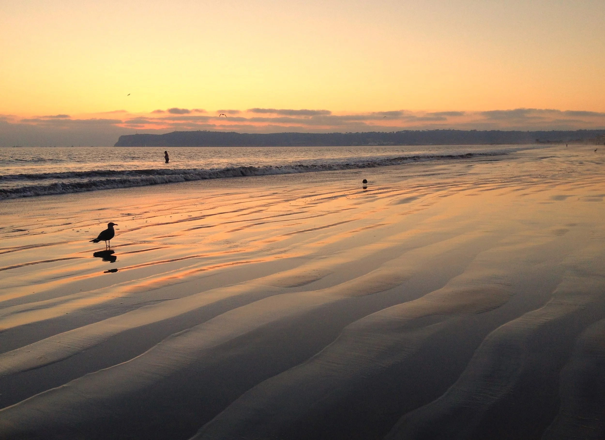 CALSIPP | Interventional Pain Medicine in California