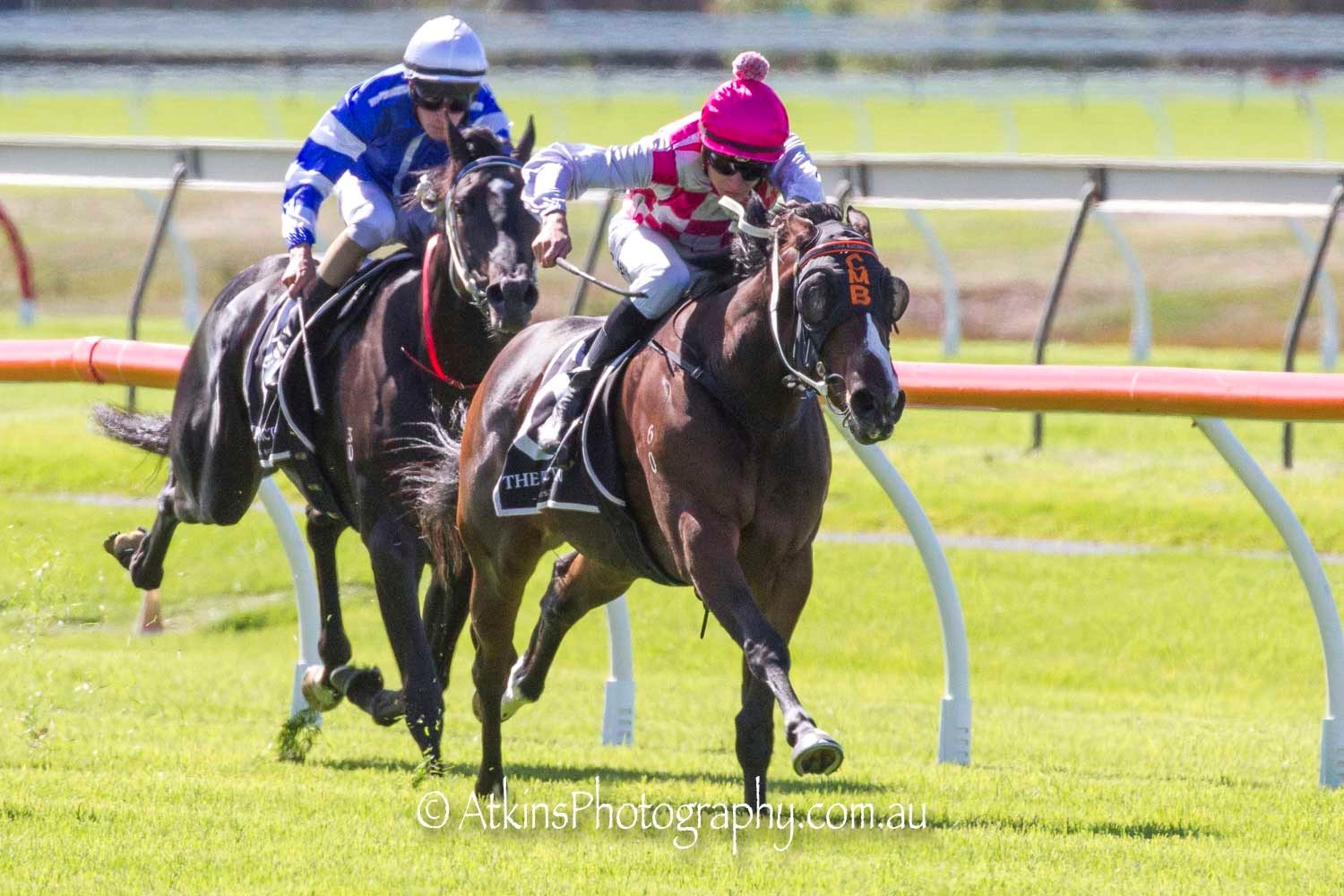 Shalaa x Marsh — Snippets Racing