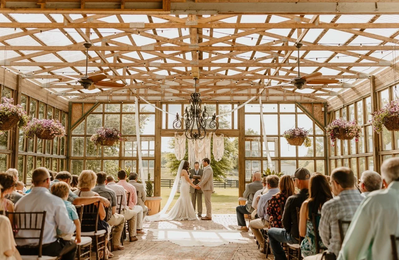 Gallery — Wild Daisy Farm