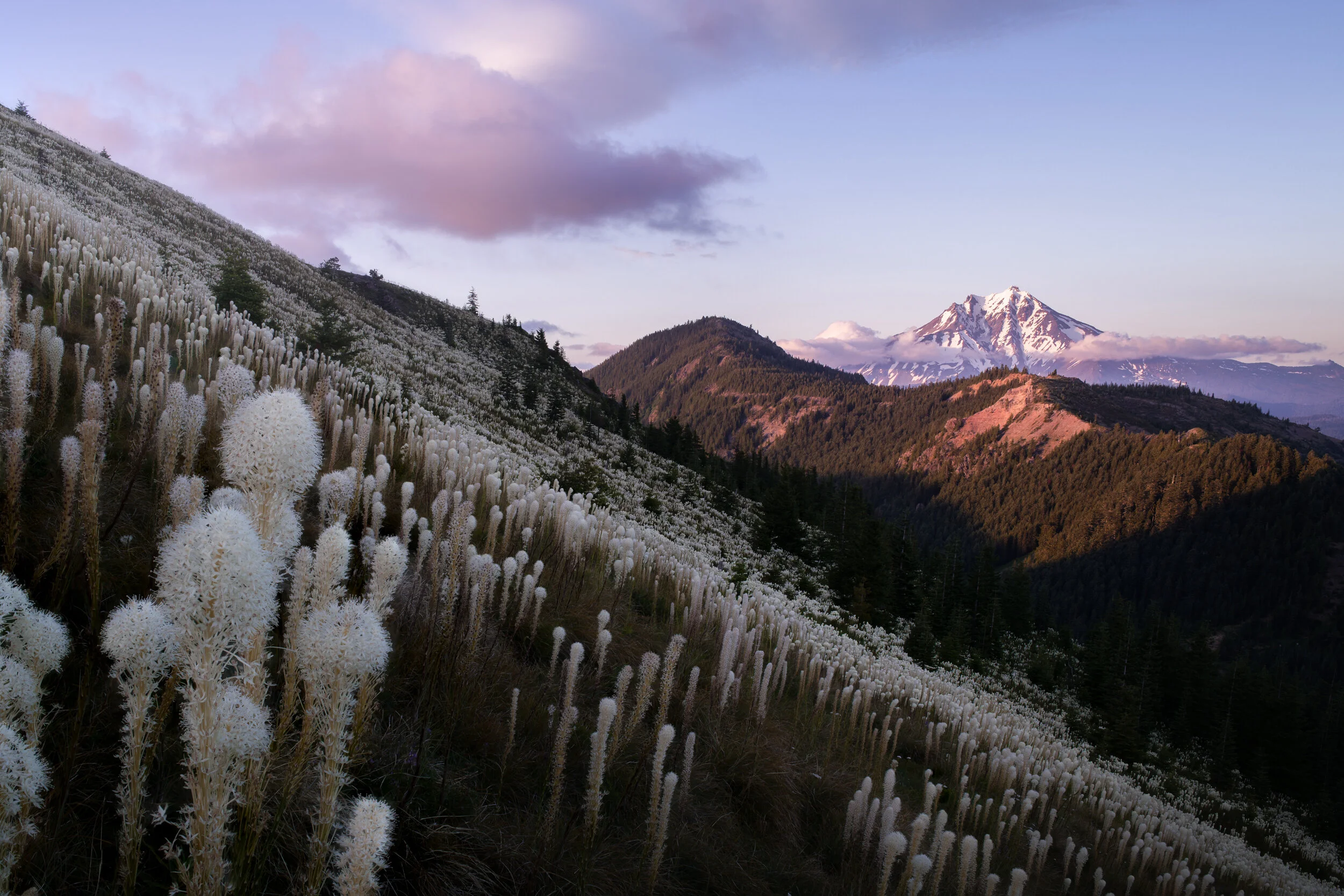 Pacific Northwest — Jacob Newell Photography
