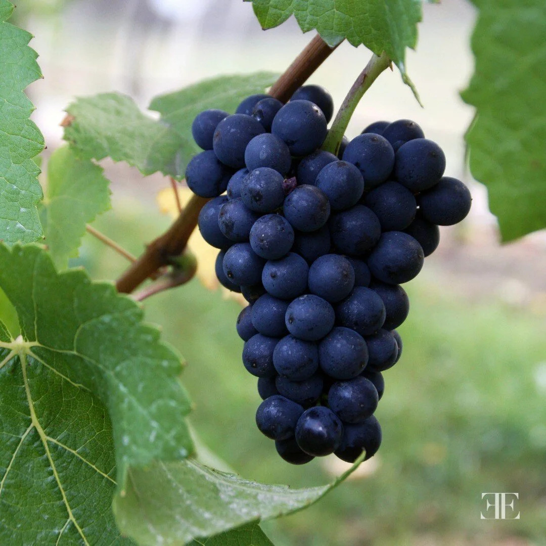 About — Entally Estate