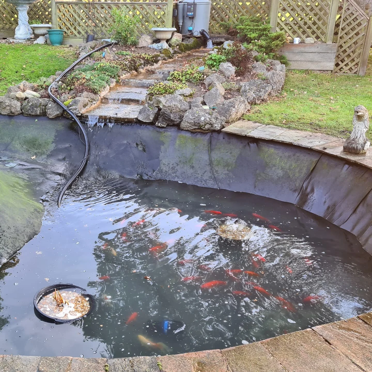Testimonials | Kent, South East, England | That Pond Guy