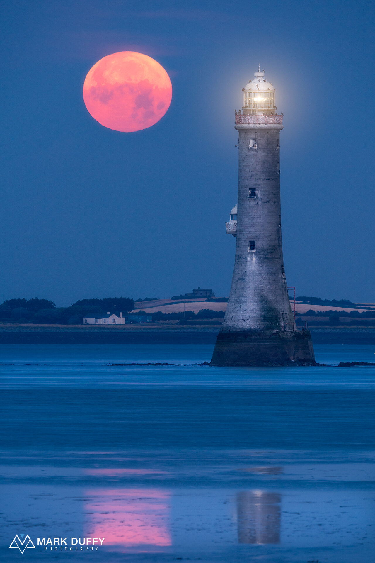 Tollymore Forest Bridge — Mark Duffy Photography