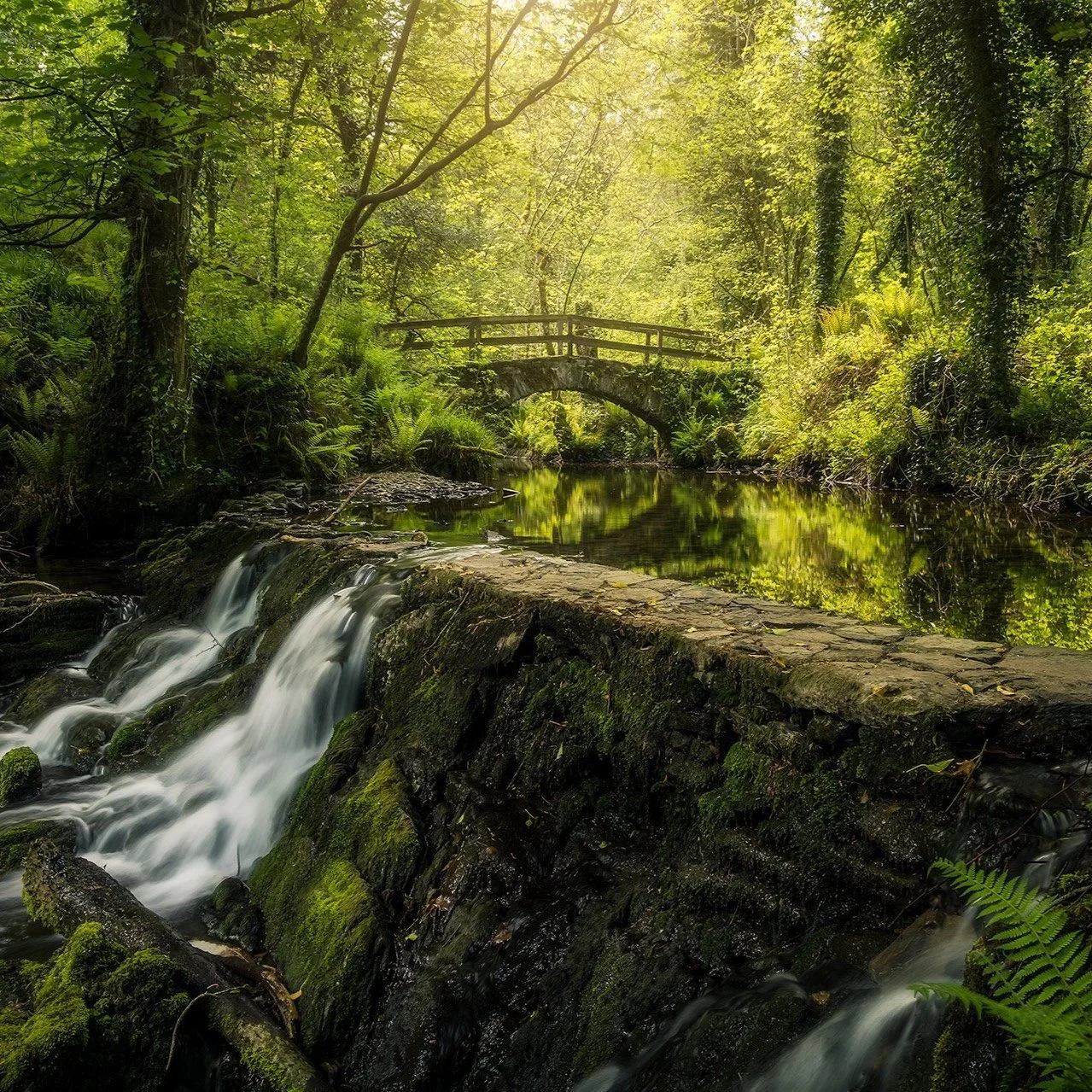 Photography Prints — Mark Duffy Photography