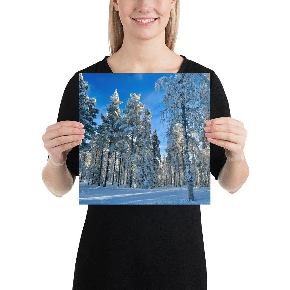Antarctic Icebergs (Print)