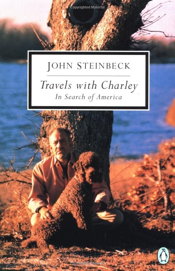 10 Best Adventure & Travel Books of All Time (Updated 2025)