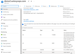 Use Azure cloud native DNS resolver for split horizon — AutoSysOps