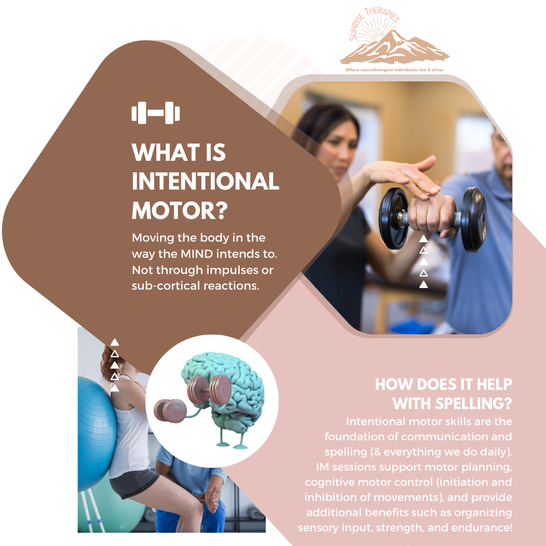 Intentional Motor — Sunrise Therapies