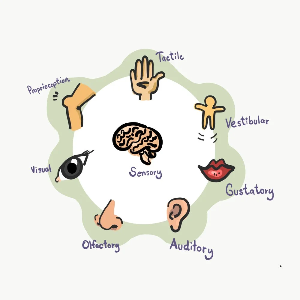 Sensory Processing Attention Sunrise Therapies