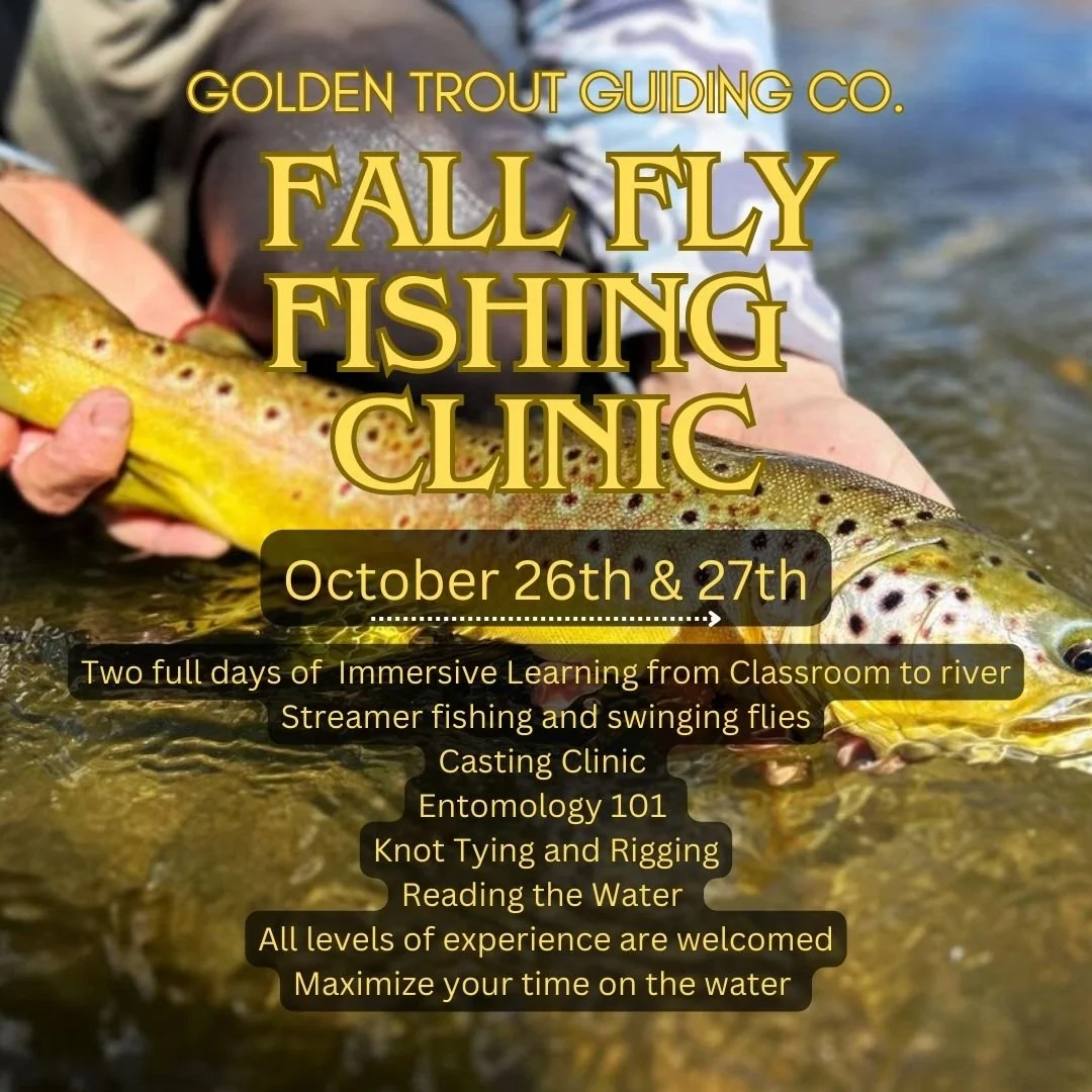 Fly Fishing Report 6/26/2024 — Golden Trout Guiding Co.