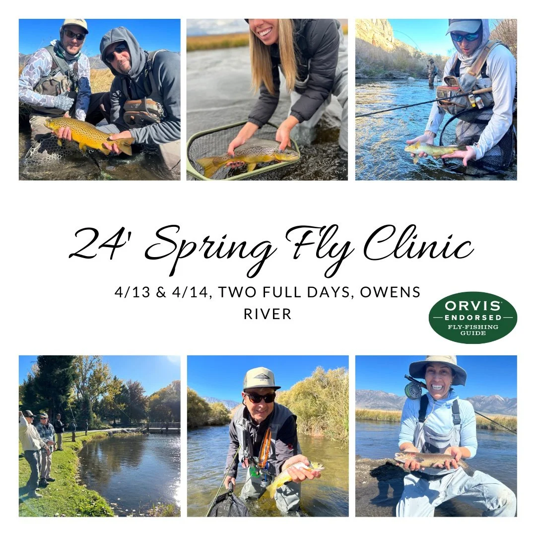 Golden Trout Guiding Co. Eastern Sierra Fly Fishing Report – February ...