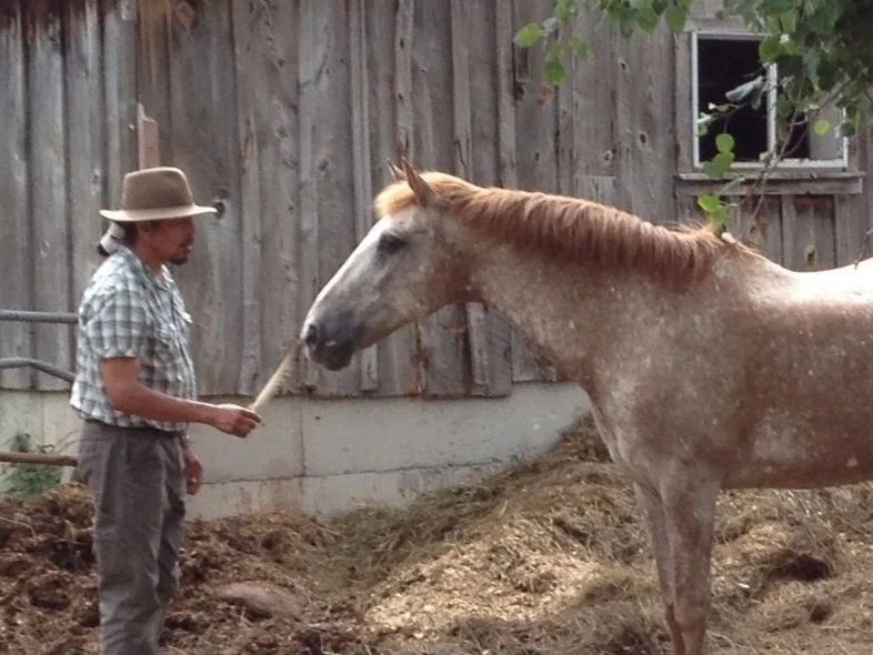 VISIT — ROSEMARY FARM SANCTUARY