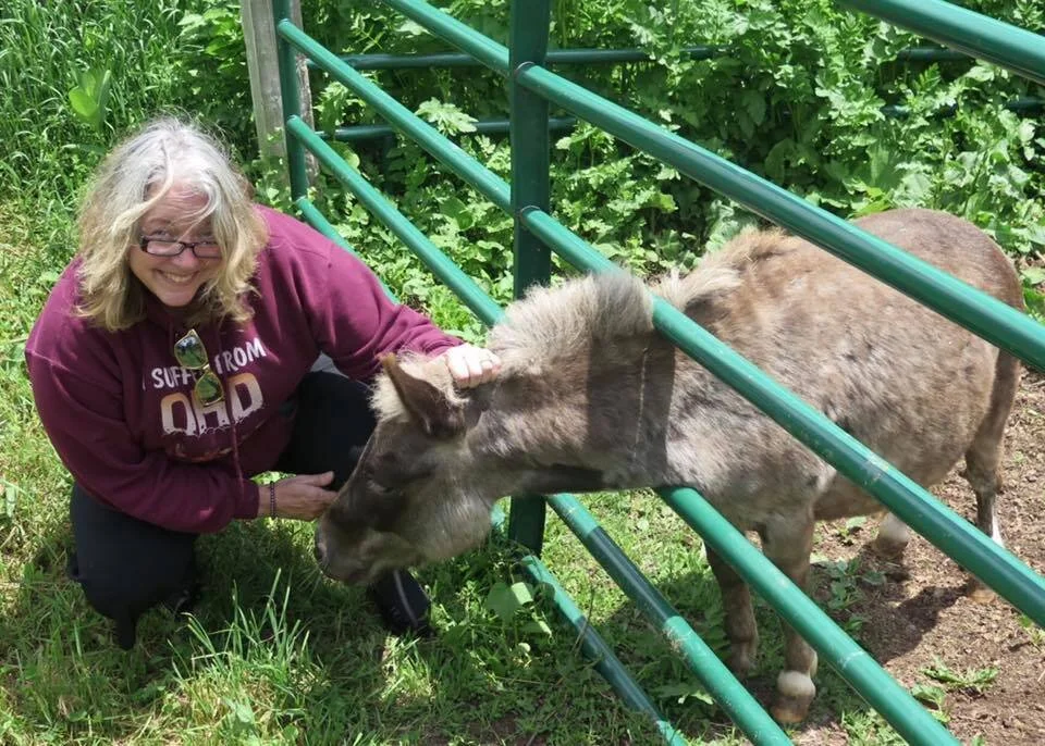 Upcoming Events — ROSEMARY FARM SANCTUARY