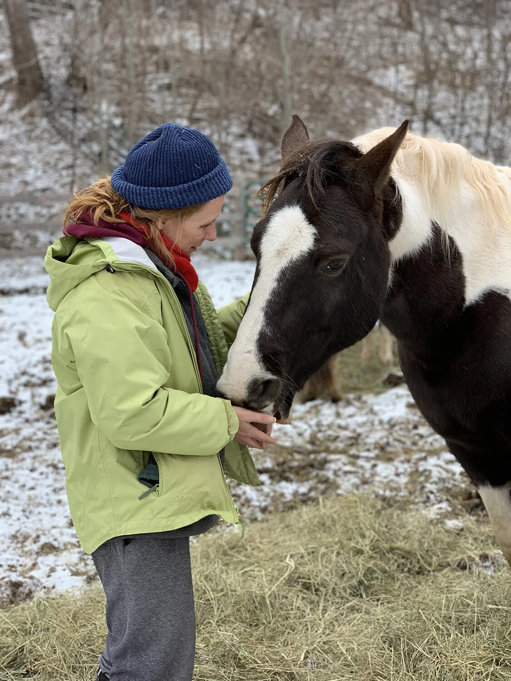 MARCUS — ROSEMARY FARM SANCTUARY
