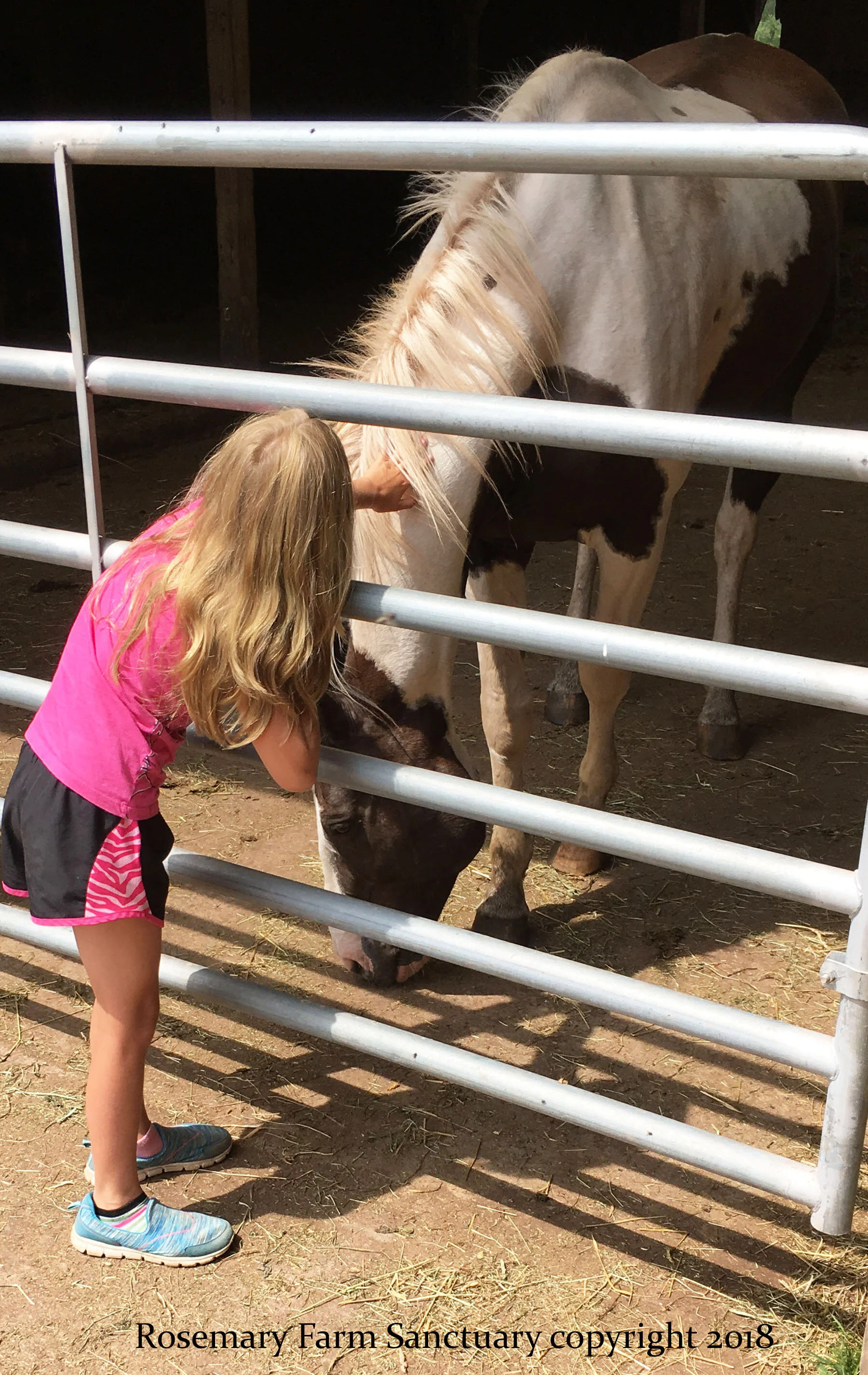 Upcoming Events — ROSEMARY FARM SANCTUARY