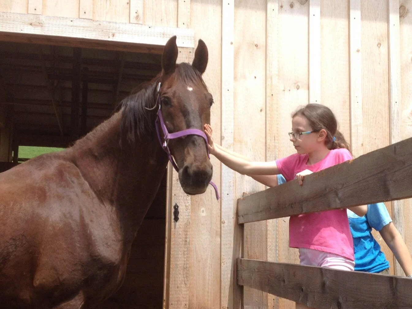 VISIT — ROSEMARY FARM SANCTUARY