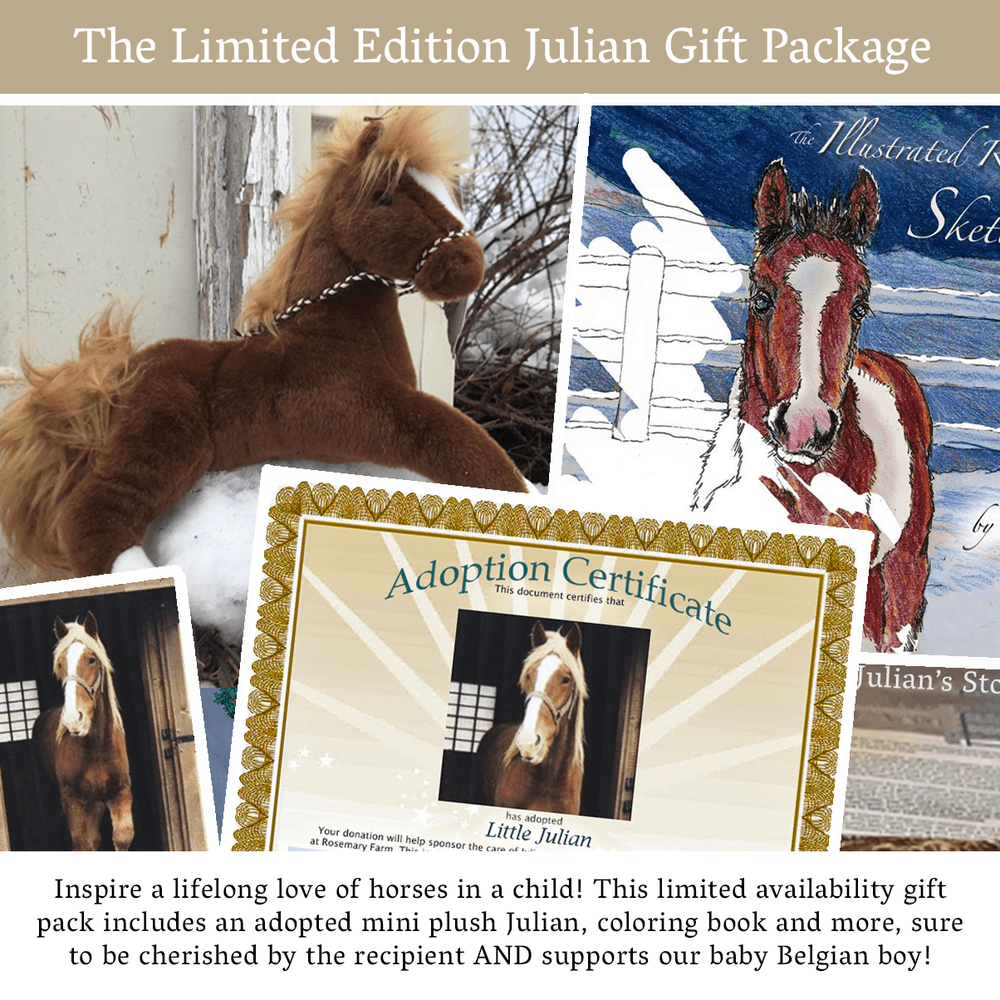 SHOP — ROSEMARY FARM SANCTUARY