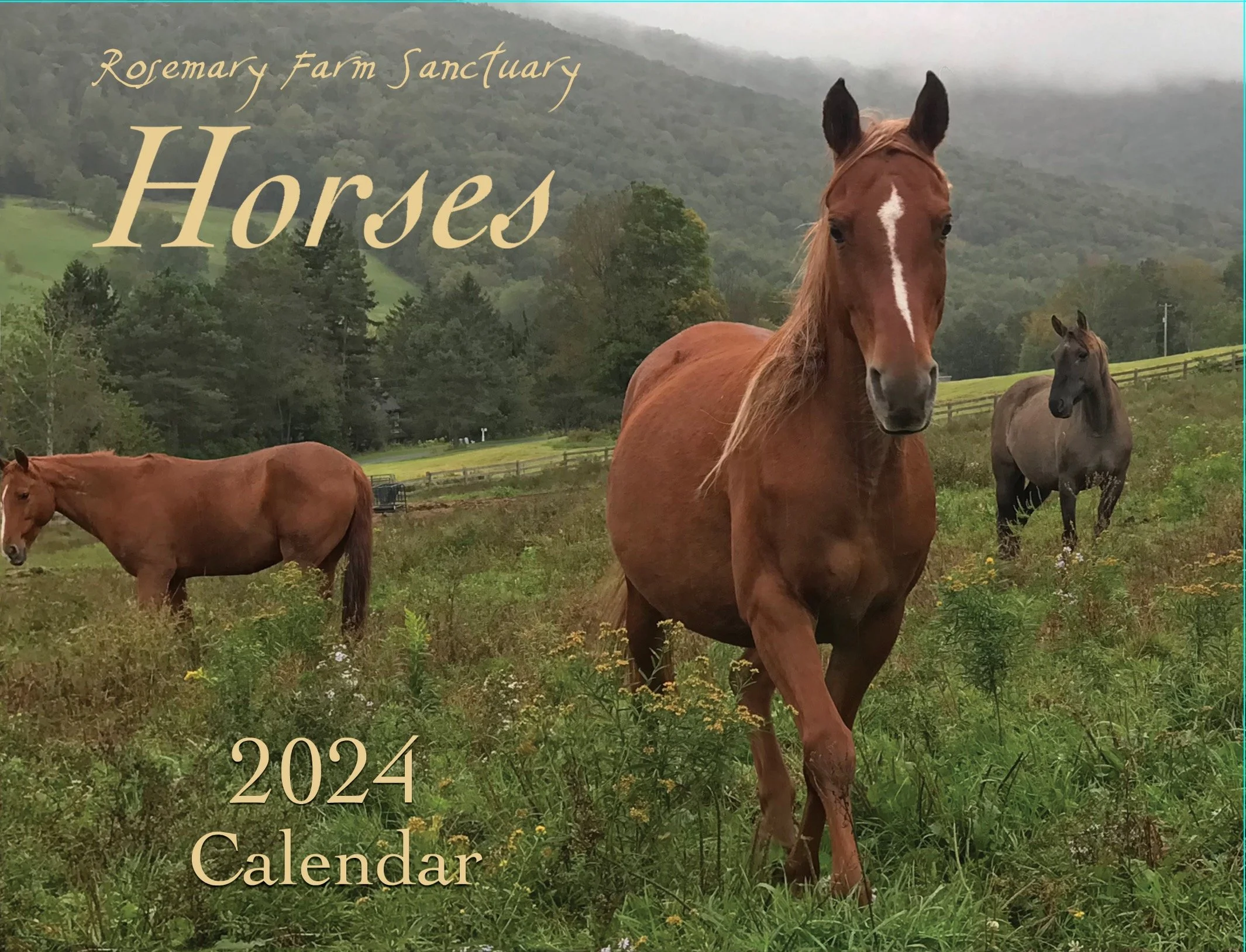 SHOP — ROSEMARY FARM SANCTUARY