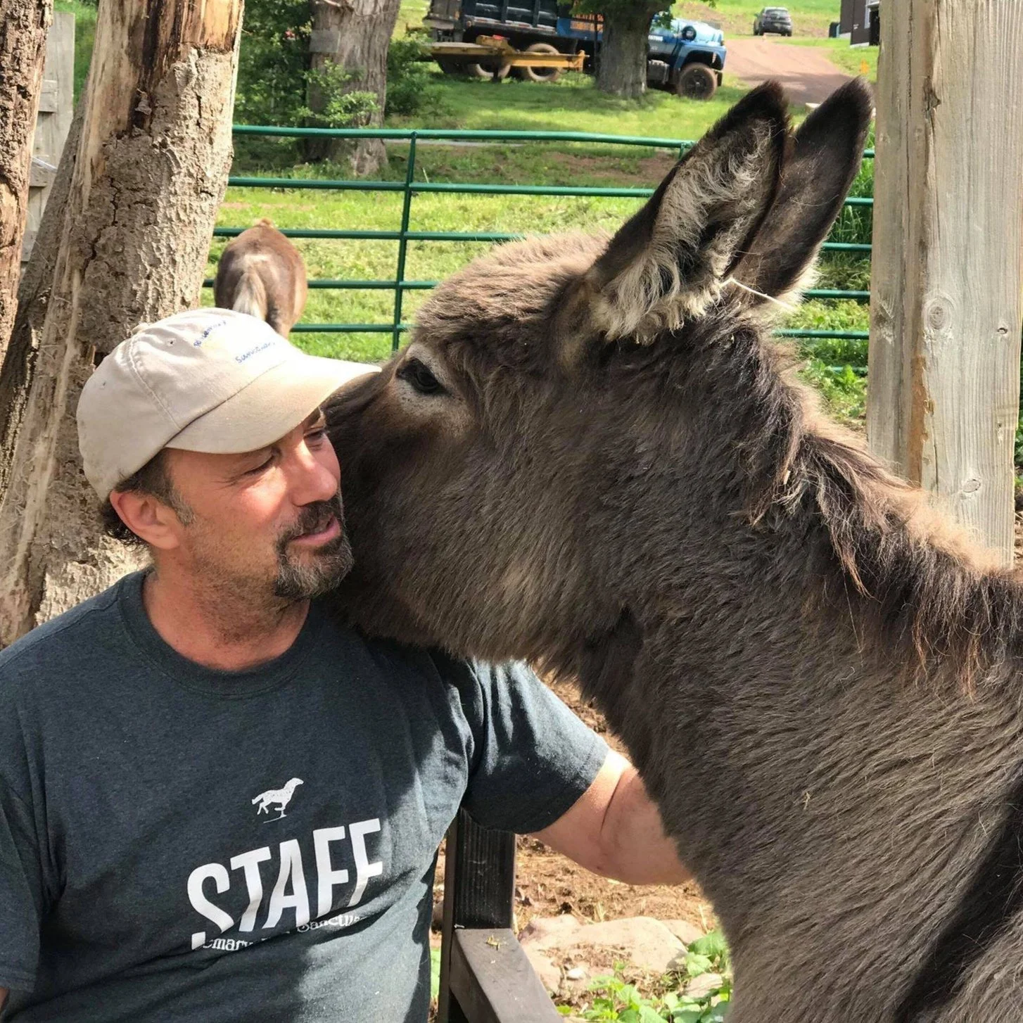 Robert Rosenbaum — ROSEMARY FARM SANCTUARY