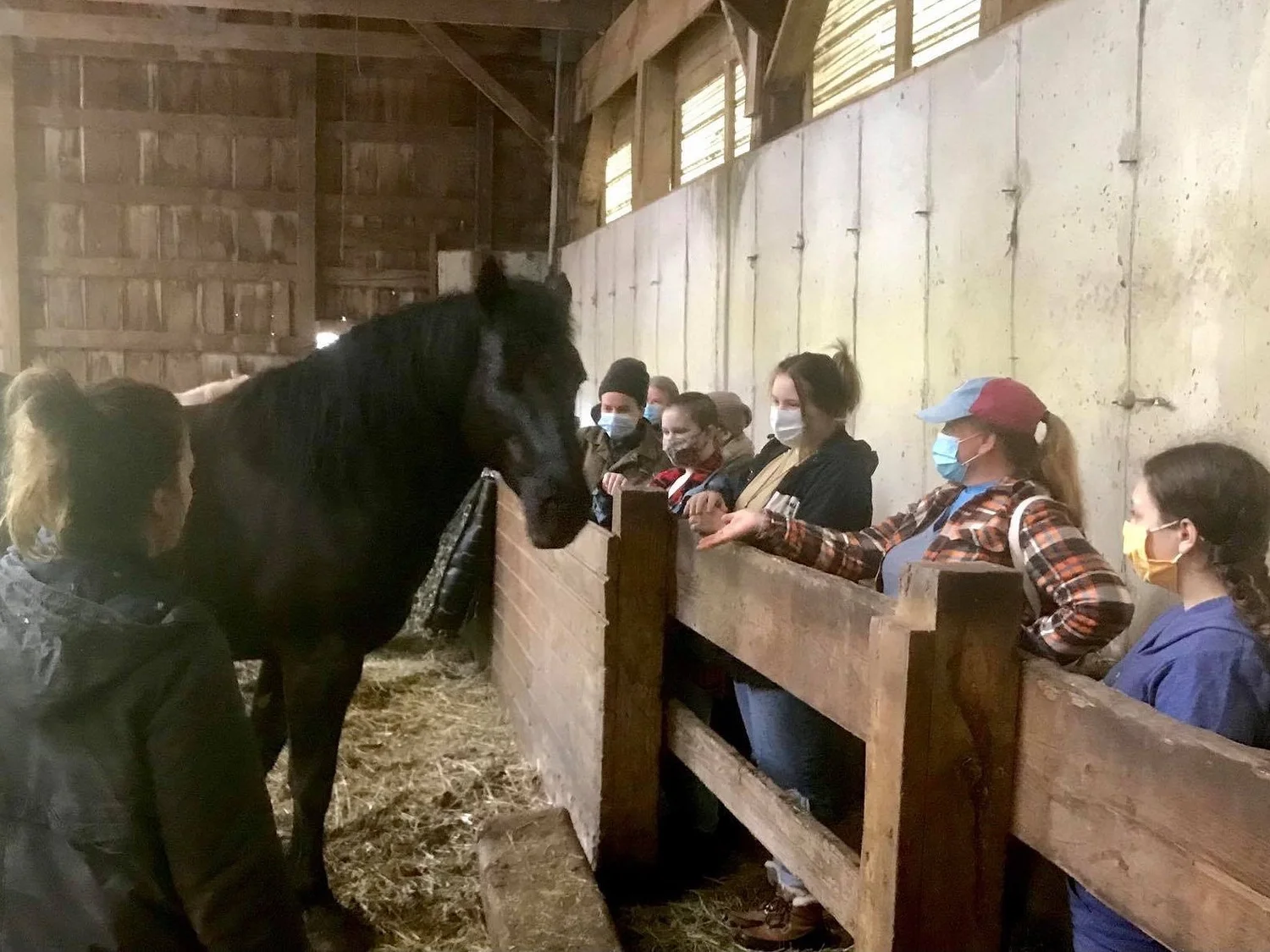 VISIT — ROSEMARY FARM SANCTUARY