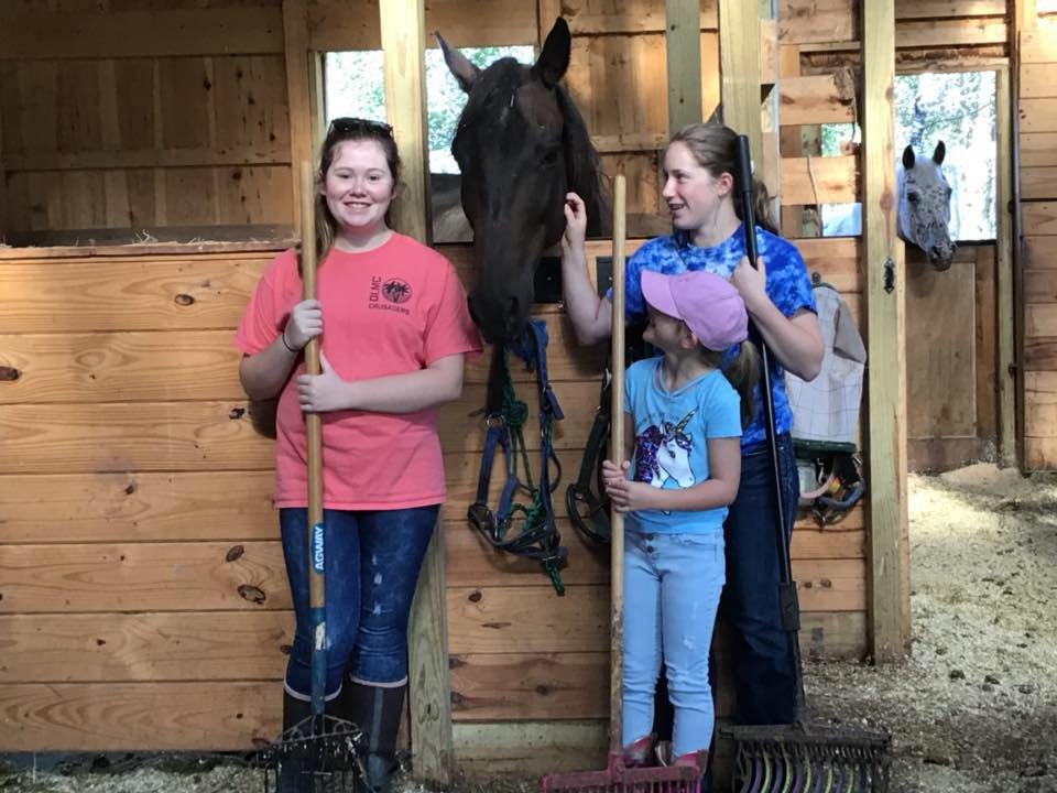 VISIT — ROSEMARY FARM SANCTUARY