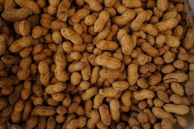 The 9 major food allergens — EXPO Food Safety