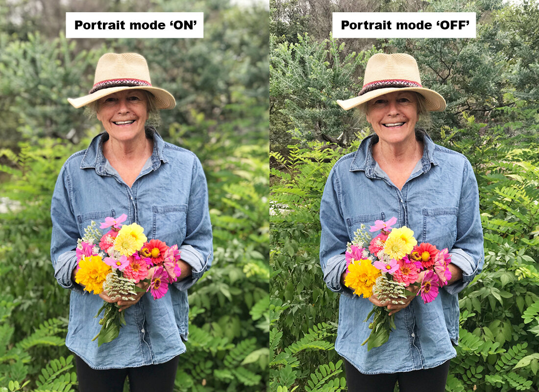 A guide to using portrait mode on your phone camera