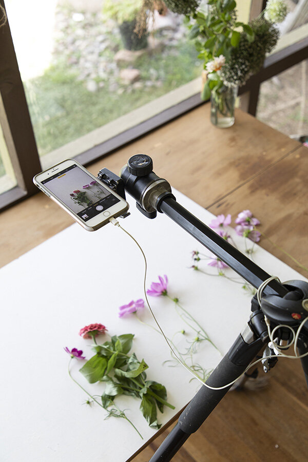 How to Create Stunning Stop Motion Films with Your Phone: A Step-by ...